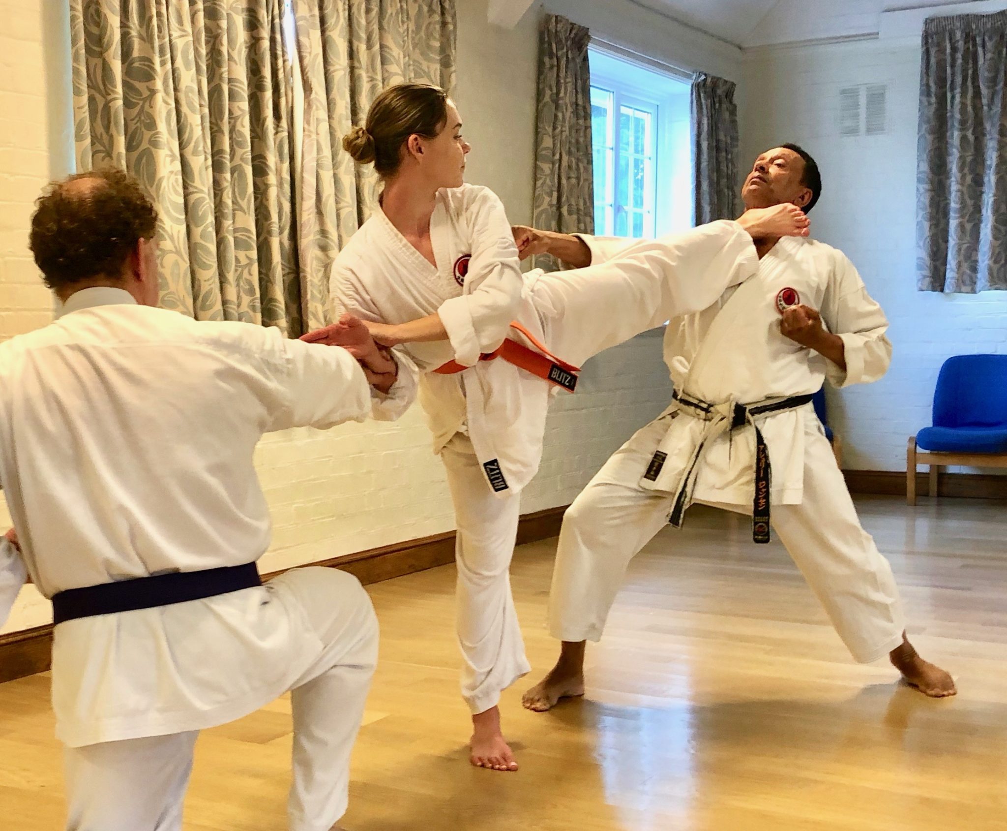Karate – Jutsu – International Shotokan Karate-Do Alliance